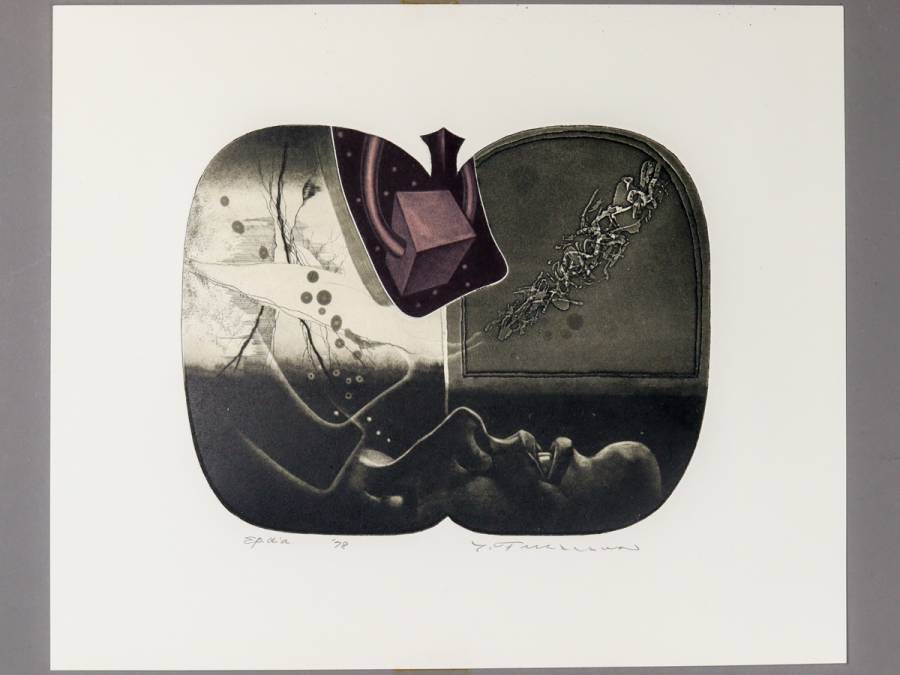 代購代標第一品牌－樂淘letao－NkiH 深沢幸雄 リンゴの中の夜 リトグラフ 額装